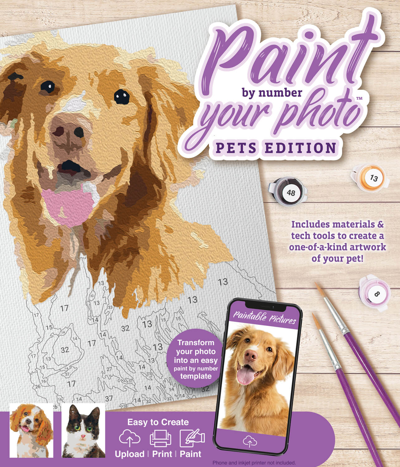 Paintable Pictures